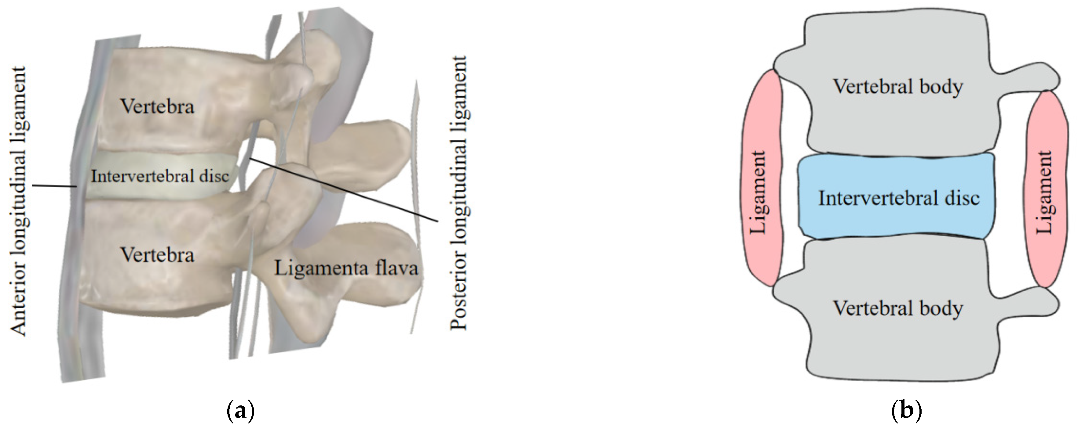 Design and Performance Analysis of Robotic Vertebral-Disc Unit with ...