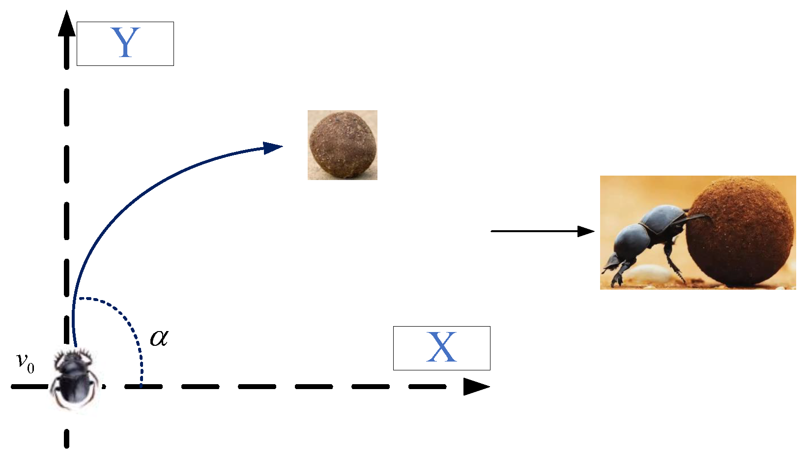Research on Move-to-Escape Enhanced Dung Beetle Optimization and Its Applications
