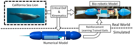 Using Reinforcement Learning to Develop a Novel Gait for a Bio-Robotic ...