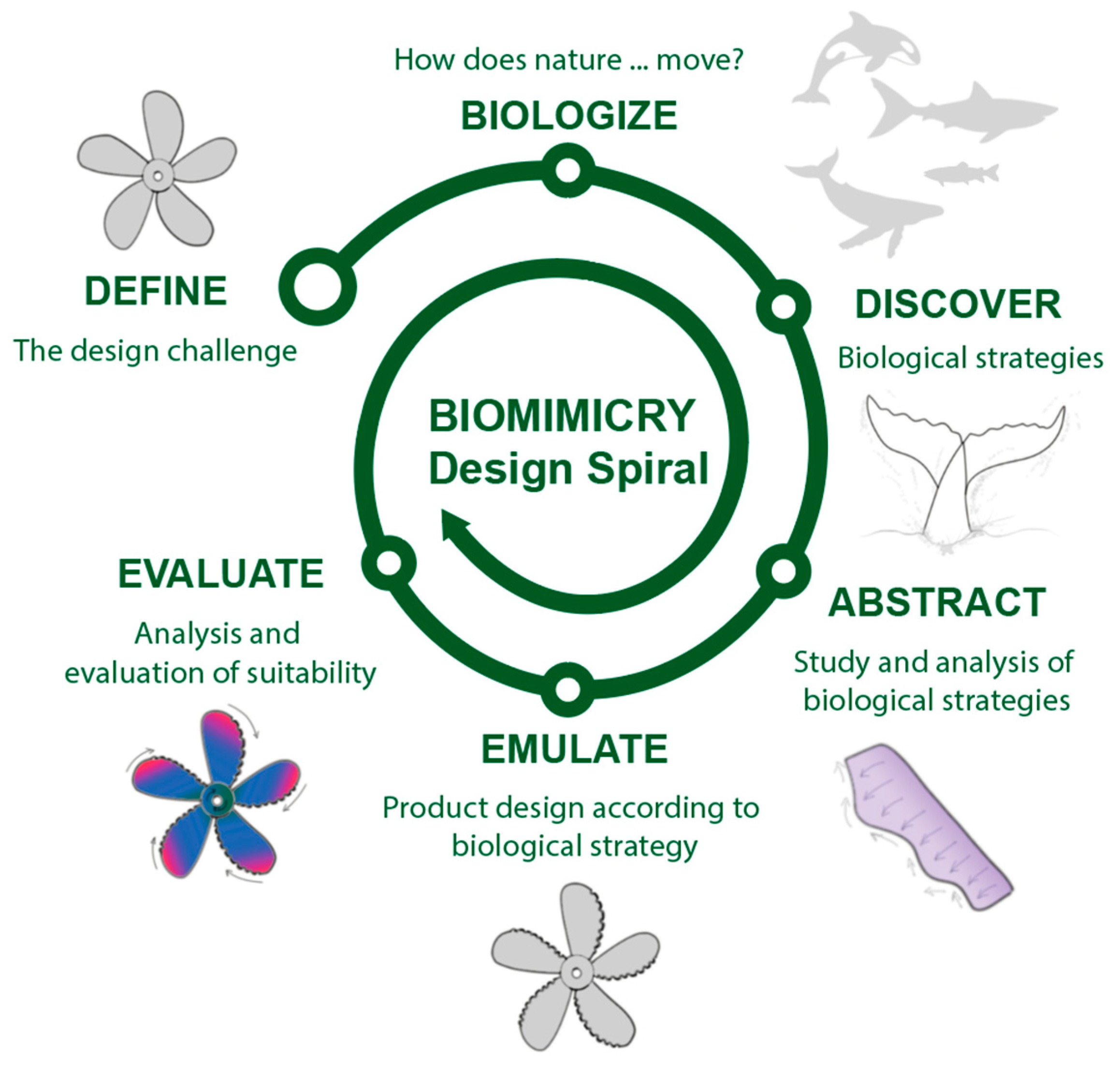 Biomimetics | Free Full-Text | Innovation Inspired by Nature: Applications of Biomimicry in ...