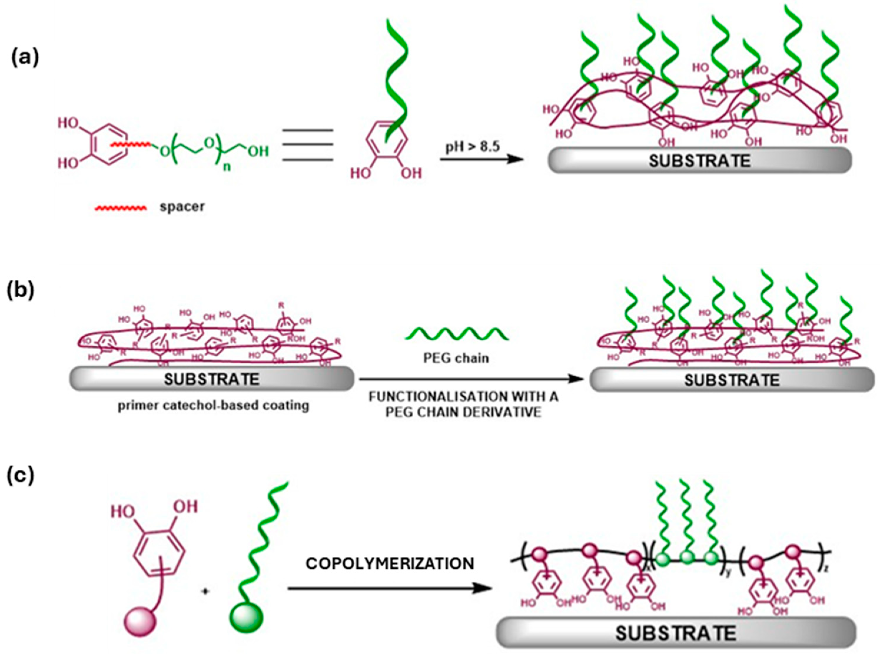 Mussel-Inspired Multifunctional Polyethylene Glycol Nanoparticle Interfaces