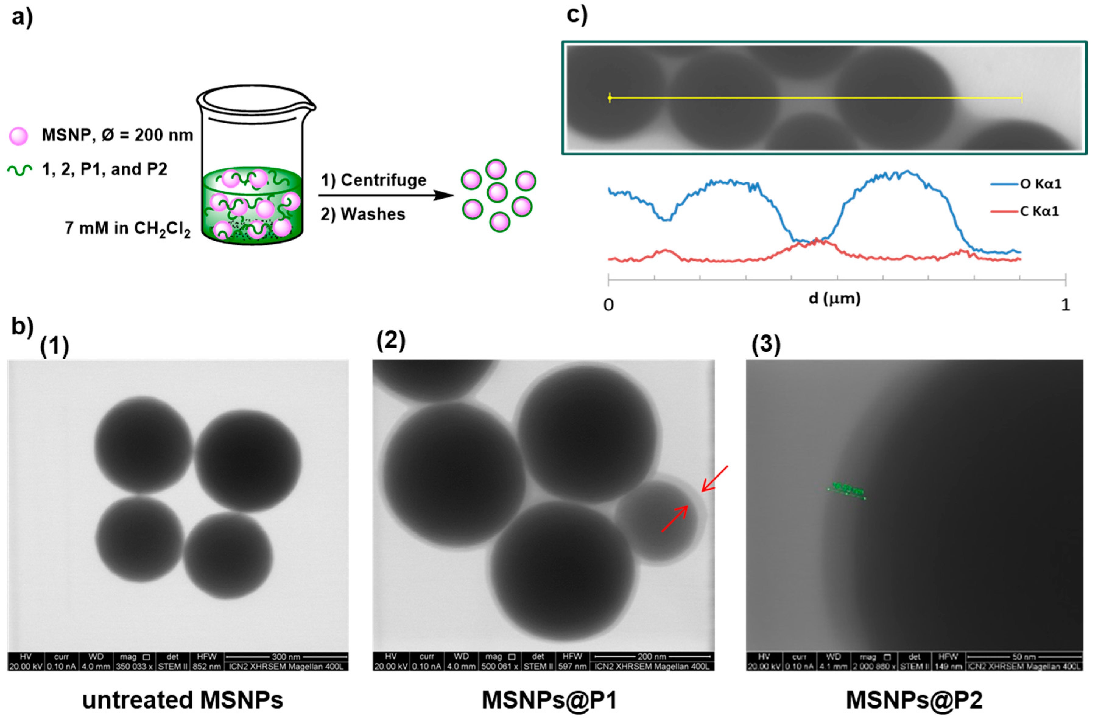 Mussel-Inspired Multifunctional Polyethylene Glycol Nanoparticle Interfaces