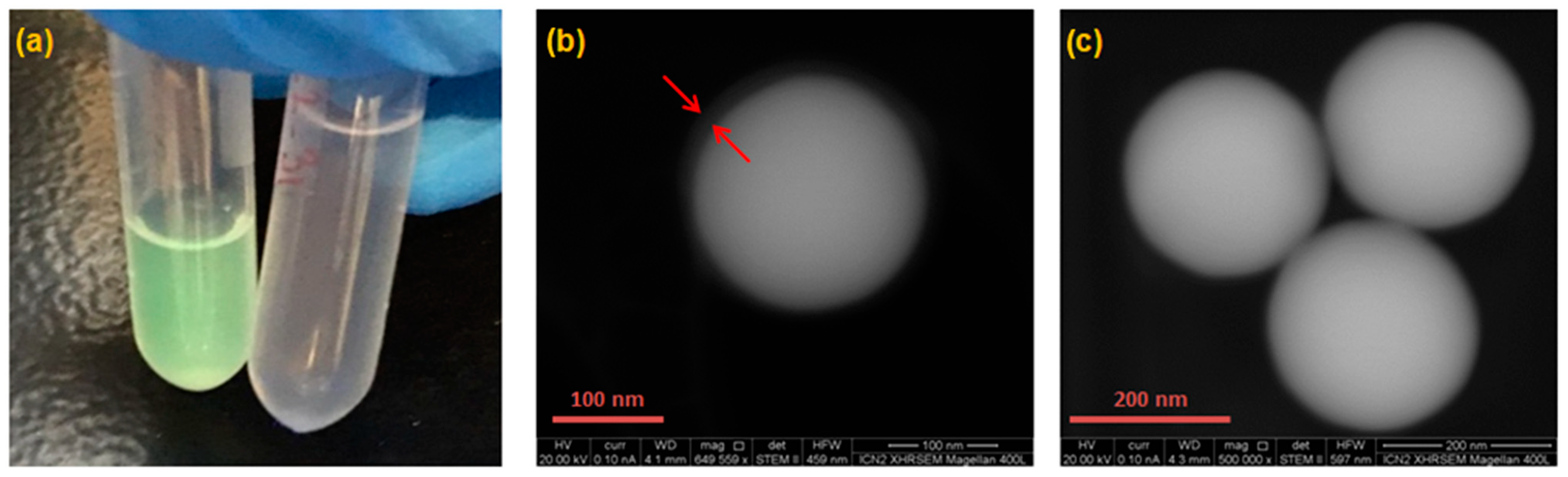 Mussel-Inspired Multifunctional Polyethylene Glycol Nanoparticle Interfaces
