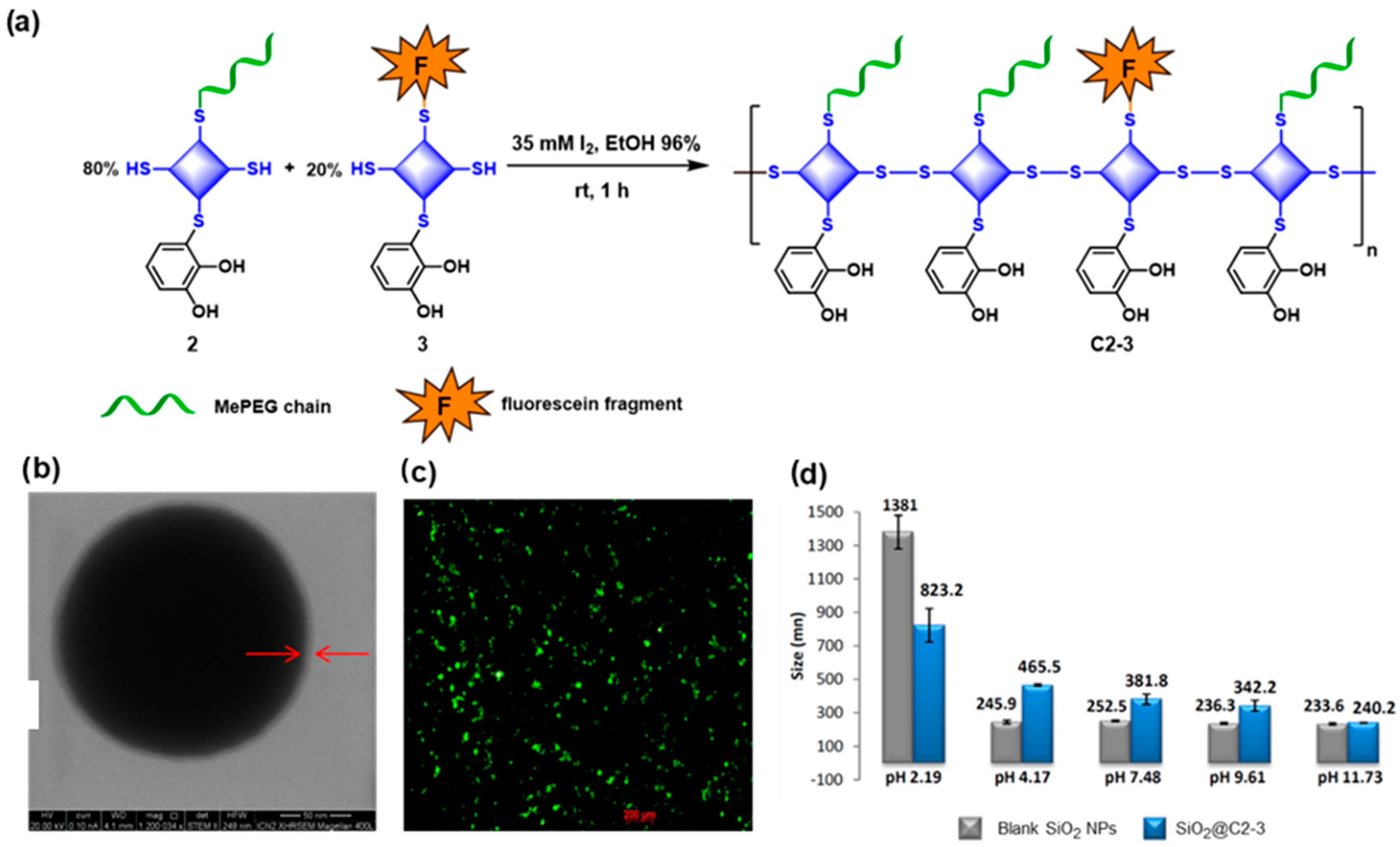 Mussel-Inspired Multifunctional Polyethylene Glycol Nanoparticle Interfaces