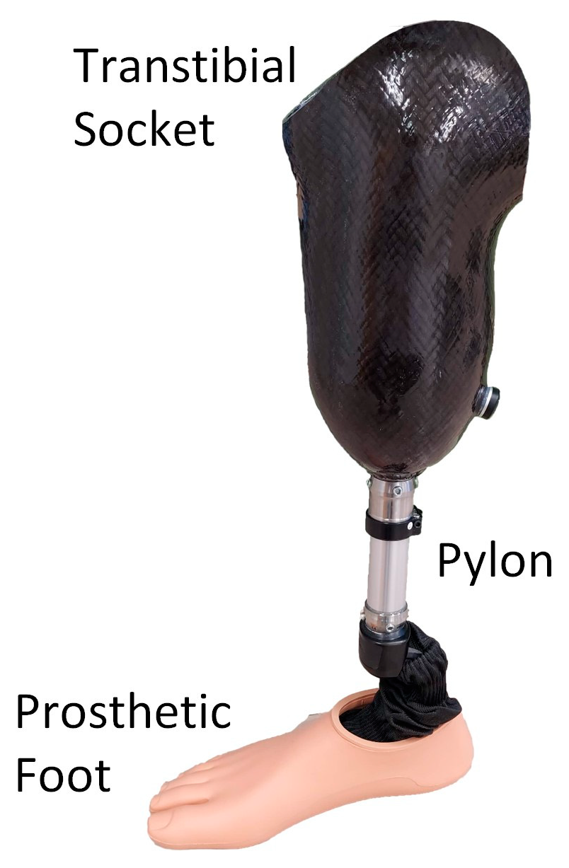 Bioinspired Design of 3D-Printed Cellular Metamaterial Prosthetic ...