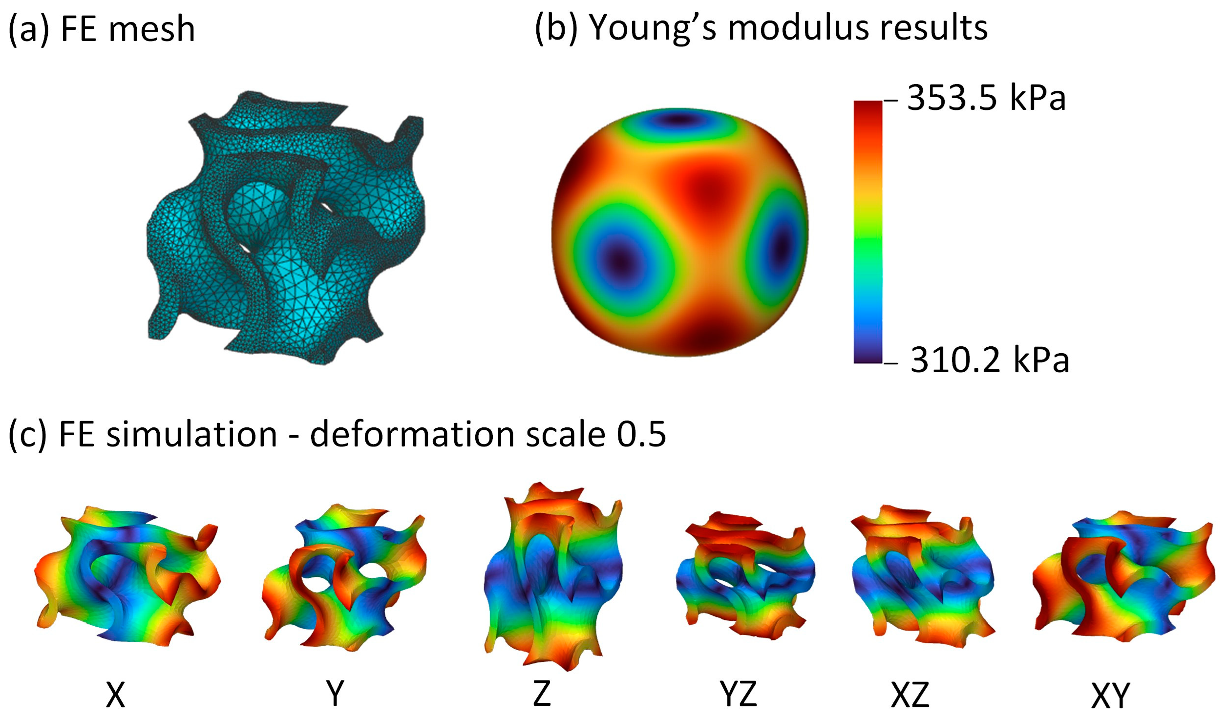 Bioinspired Design of 3D-Printed Cellular Metamaterial Prosthetic Liners for Enhanced Comfort ...