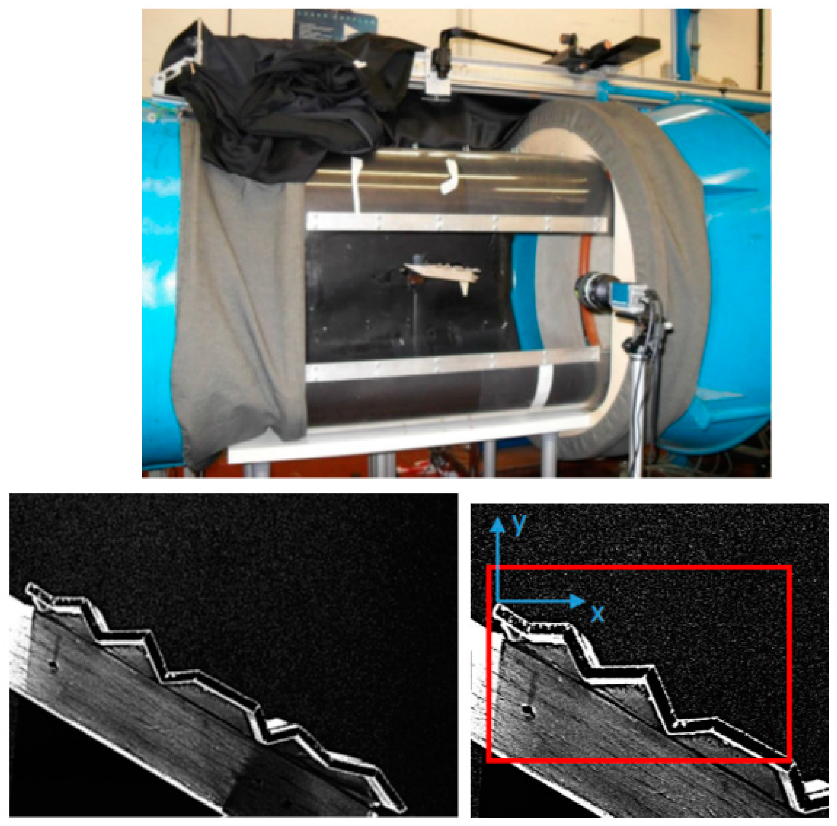 Biomimetic Wings for Micro Air Vehicles