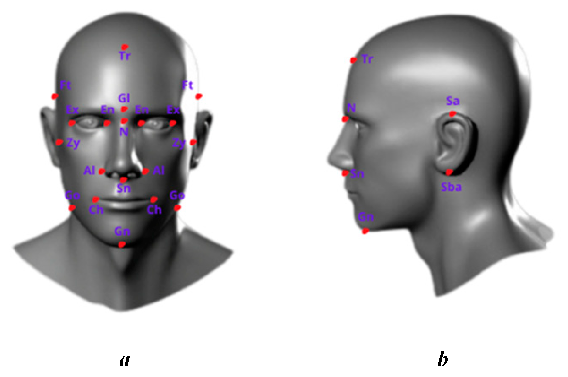 Advanced Design and Implementation of a Biomimetic Humanoid Robotic ...