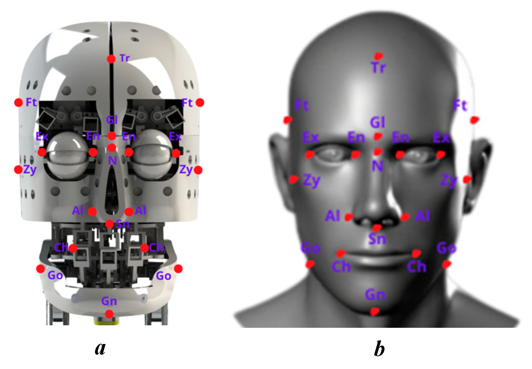 Advanced Design and Implementation of a Biomimetic Humanoid Robotic ...