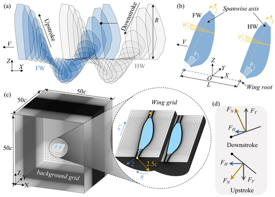 Unsteady Aerodynamic Forces of Tandem Flapping Wings with Different Forewing Kinematics