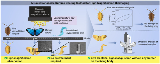 Nanoscale Surface Metal-Coating Method without Pretreatment for High ...