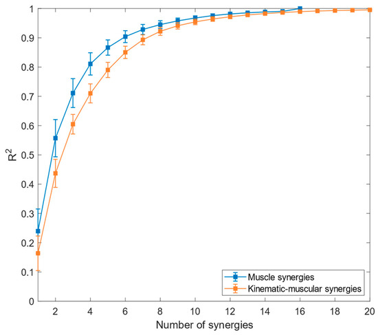 Kinematic–Muscular Synergies Describe Human Locomotion with a Set of ...