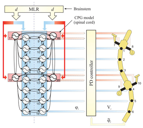 Bionic Multi-Legged Robots with Flexible Bodies: Design, Motion, and Control