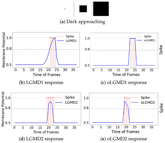A Computationally Efficient Neuronal Model for Collision Detection with ...