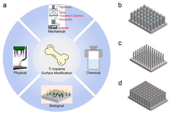 Recent Advances in Antibacterial Strategies Based on TiO2 Biomimetic ...