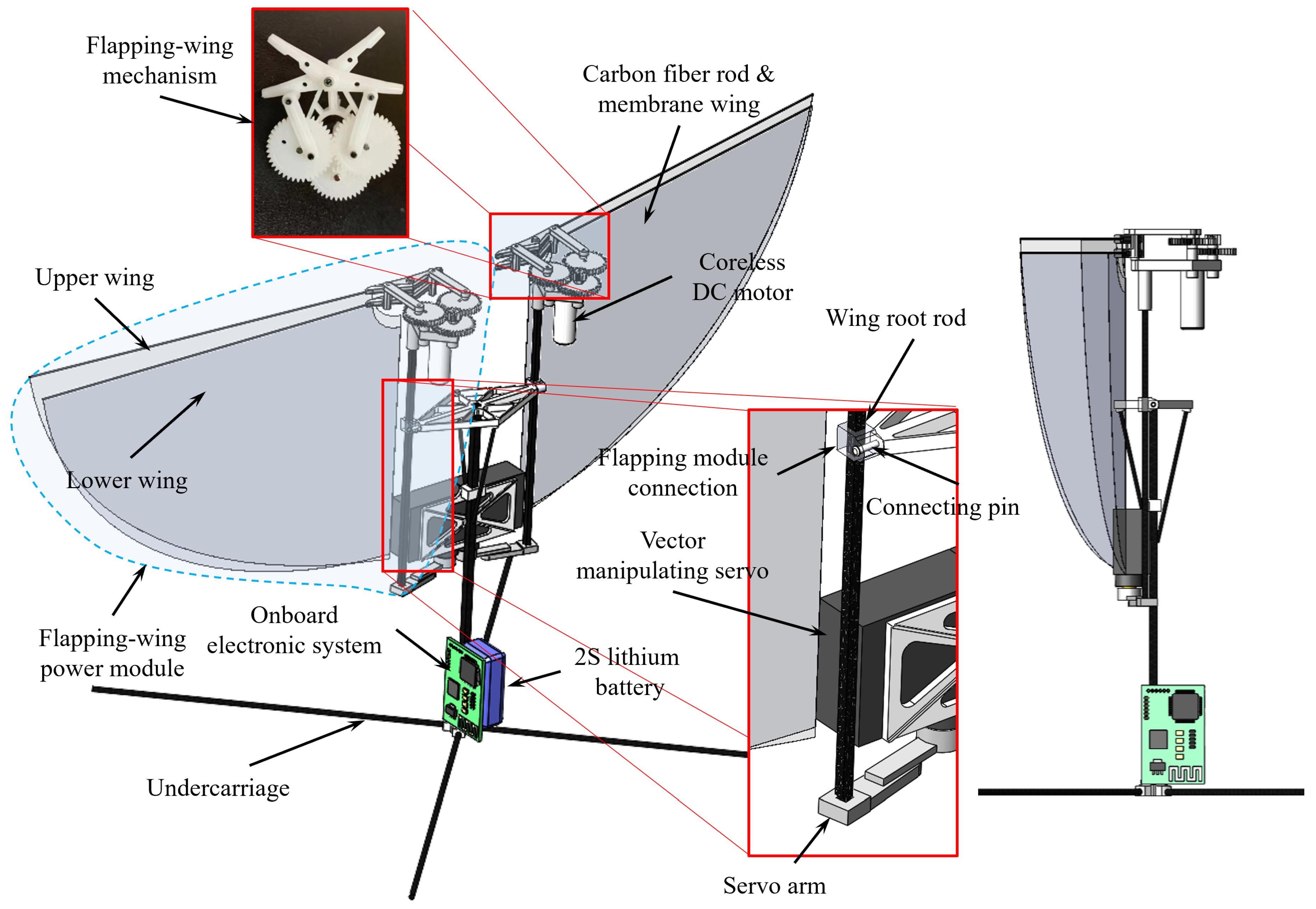 Development of a Novel Tailless X-Type Flapping-Wing Micro Air Vehicle with Independent Electric ...