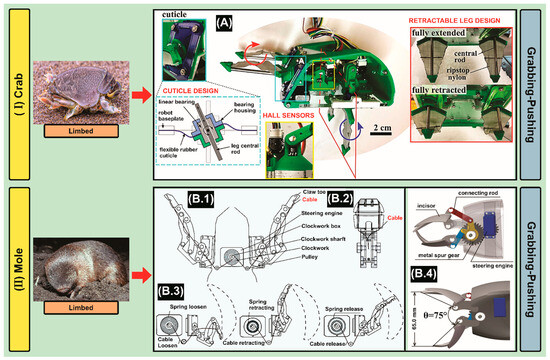 Animal-Morphing Bio-Inspired Mechatronic Systems: Research Framework in ...