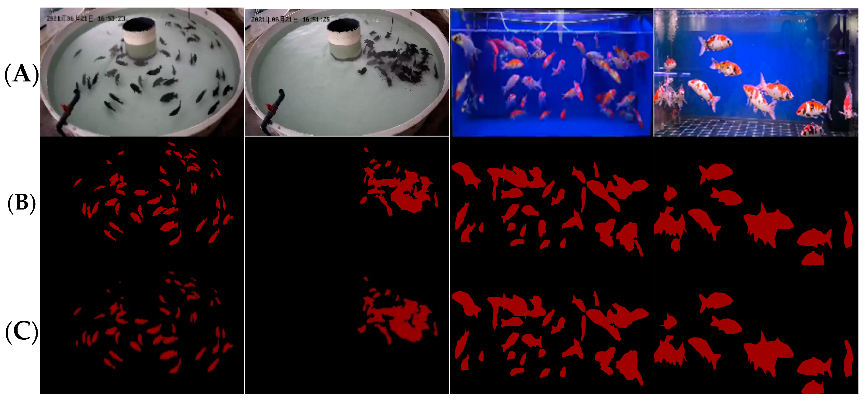 Conceptual Validation of High-Precision Fish Feeding Behavior Recognition Using Semantic ...