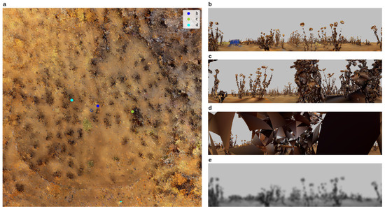 Adaptive Route Memory Sequences for Insect-Inspired Visual Route Navigation