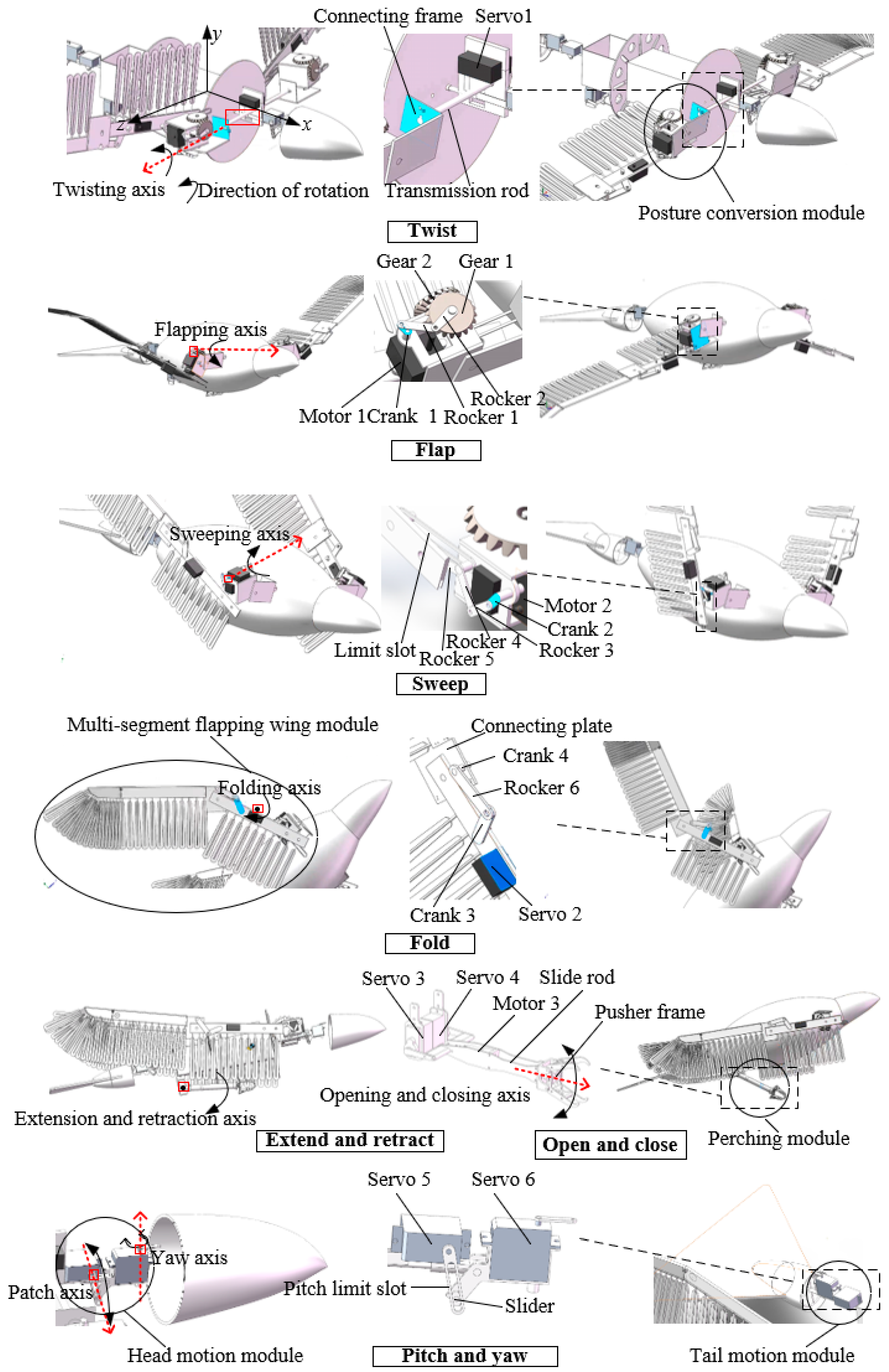 Structural Design and Kinematic Modeling of Highly Biomimetic Flapping-Wing Aircraft with ...