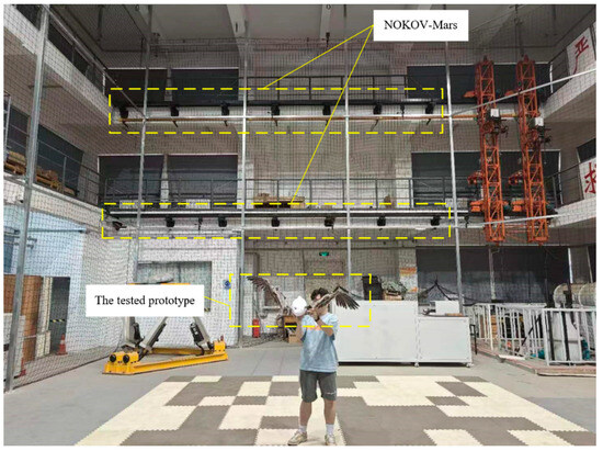 Structural Design and Kinematic Modeling of Highly Biomimetic Flapping-Wing Aircraft with ...