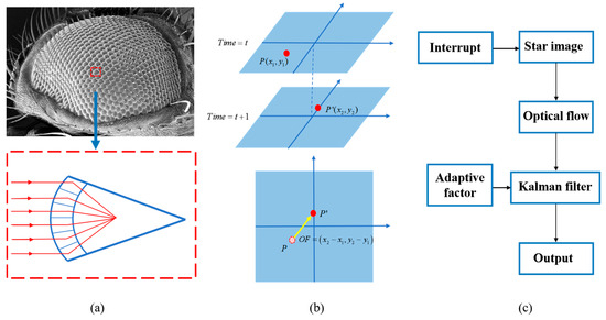 Estimation of Spacecraft Angular Velocity Based on the Optical Flow of Star Images Using an ...