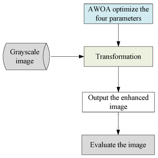An Advanced Whale Optimization Algorithm for Grayscale Image Enhancement