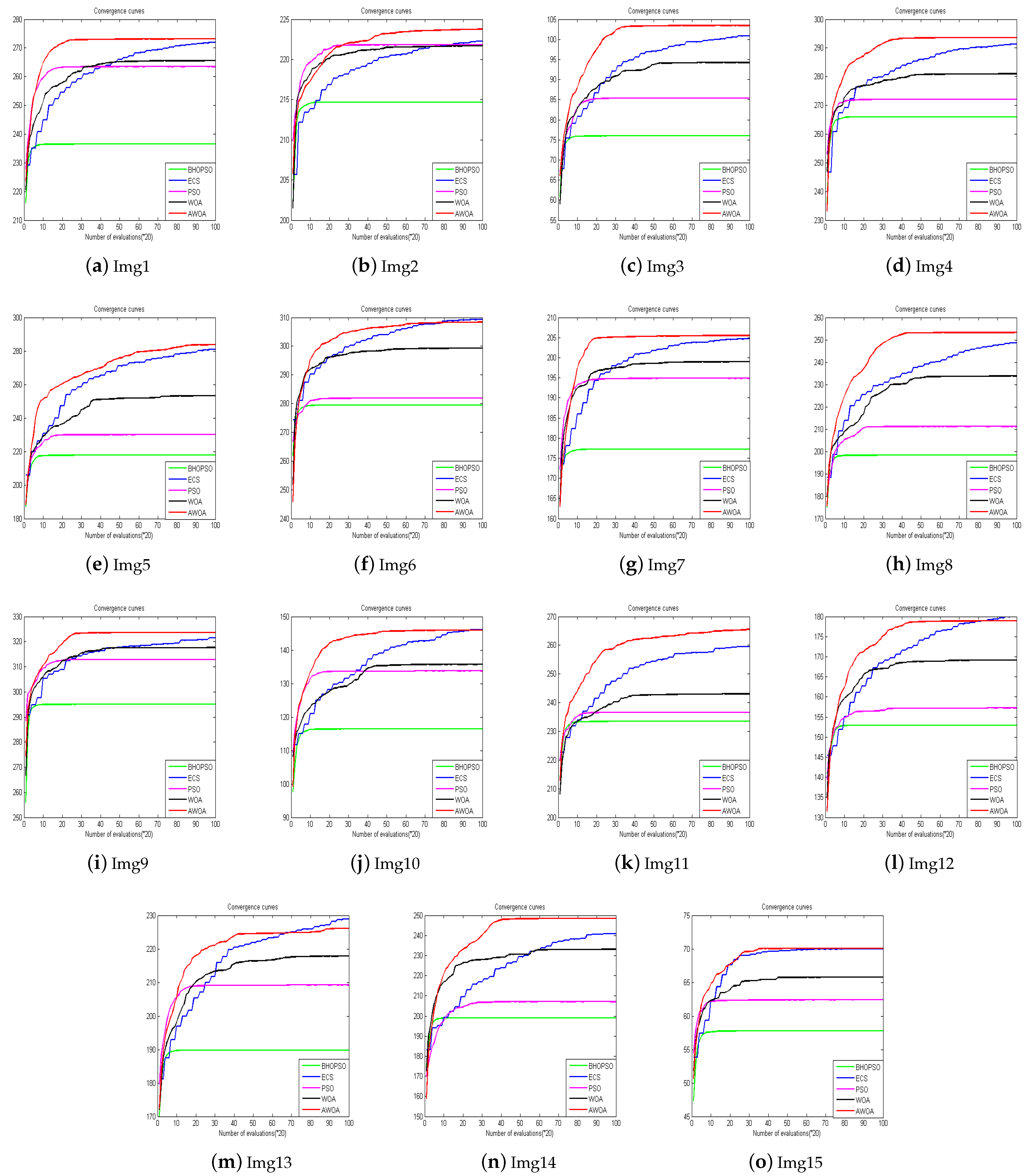 An Advanced Whale Optimization Algorithm for Grayscale Image Enhancement