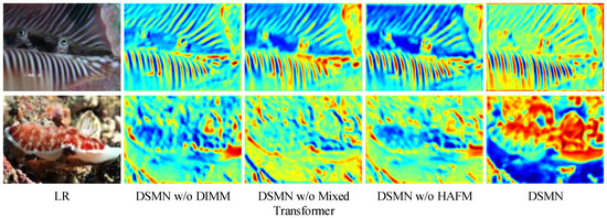 Dynamic Structure-Aware Modulation Network for Underwater Image Super-Resolution