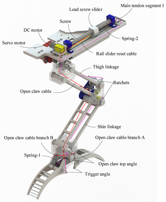 Design and Validation of a Biomimetic Leg-Claw Mechanism Capable of ...