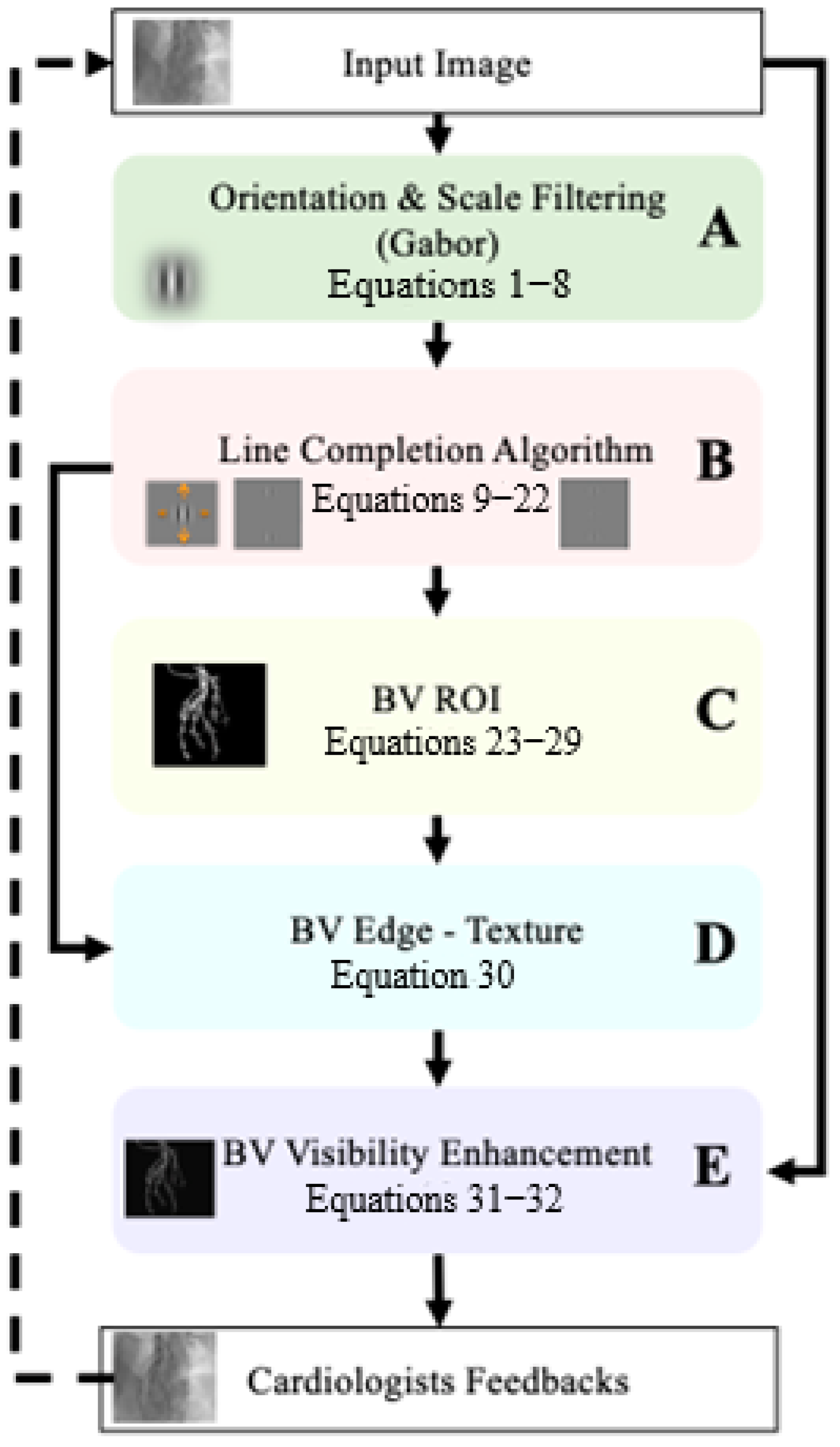Visual System Inspired Algorithm for Enhanced Visibility in Coronary ...