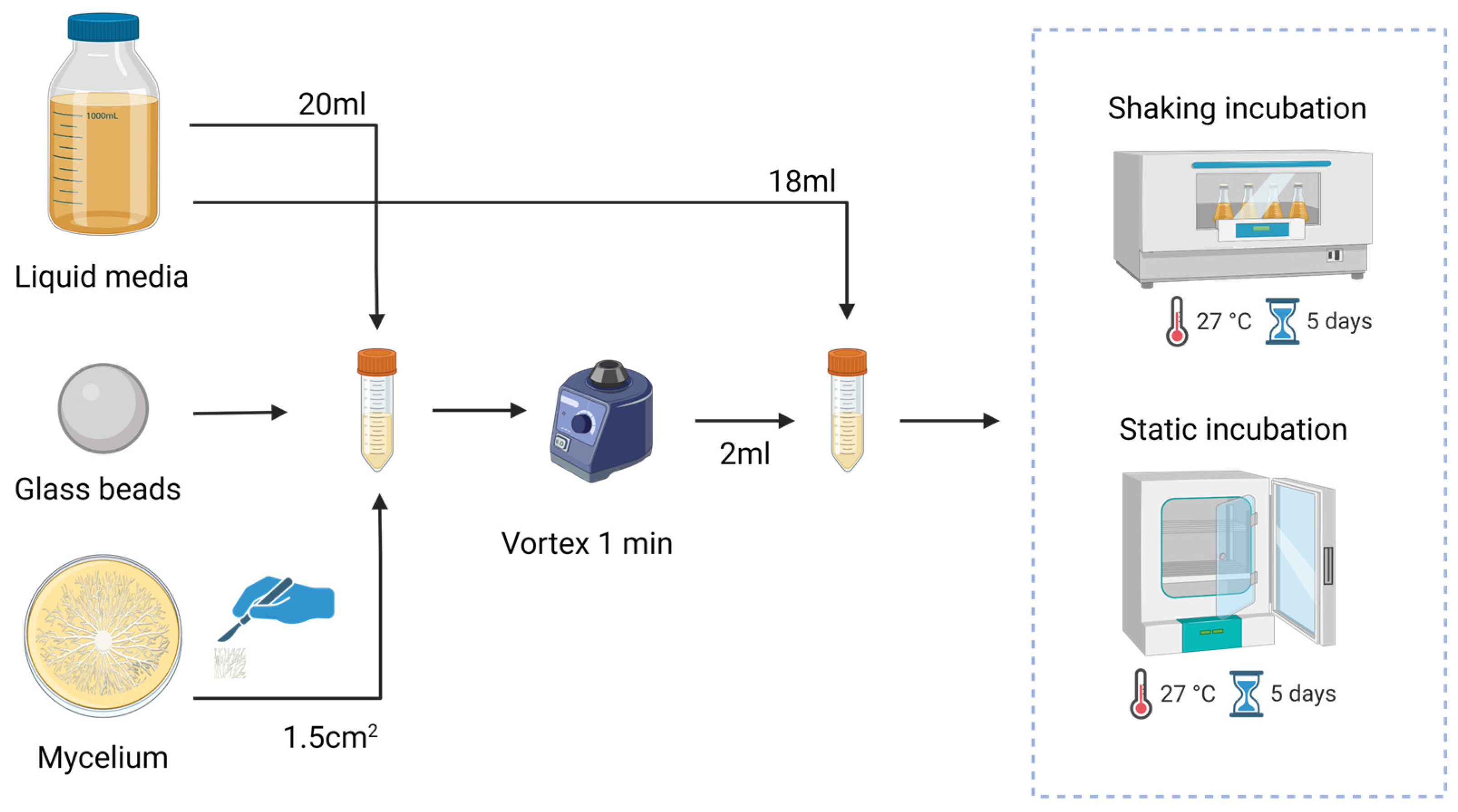 Growth Propagation of Liquid Spawn on Non-Woven Hemp Mats to Inform ...