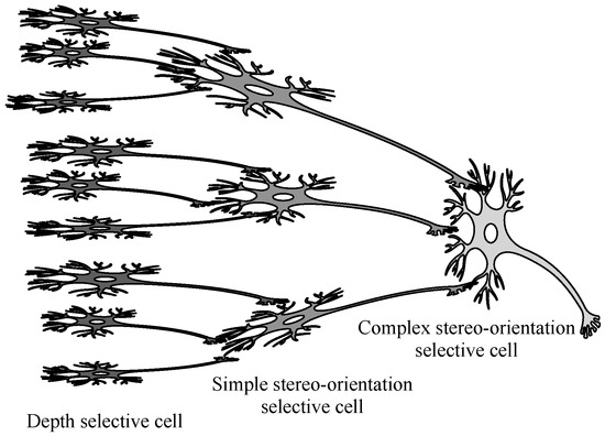 Artificial Visual System for Stereo-Orientation Recognition Based on Hubel-Wiesel Model