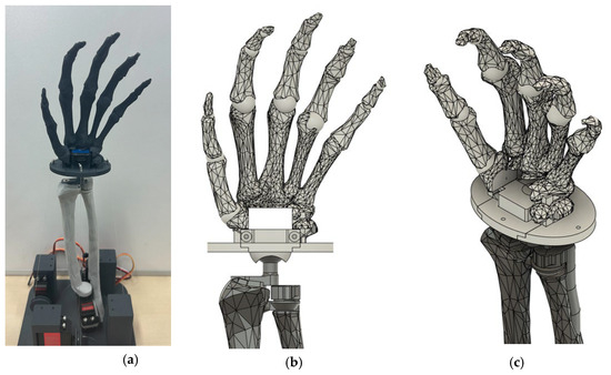 Development of a Cable-Driven Bionic Spherical Joint for a Robot Wrist
