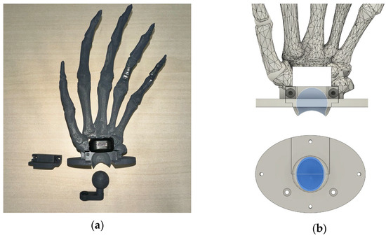 Development of a Cable-Driven Bionic Spherical Joint for a Robot Wrist