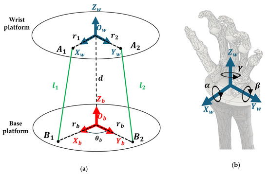 Development of a Cable-Driven Bionic Spherical Joint for a Robot Wrist