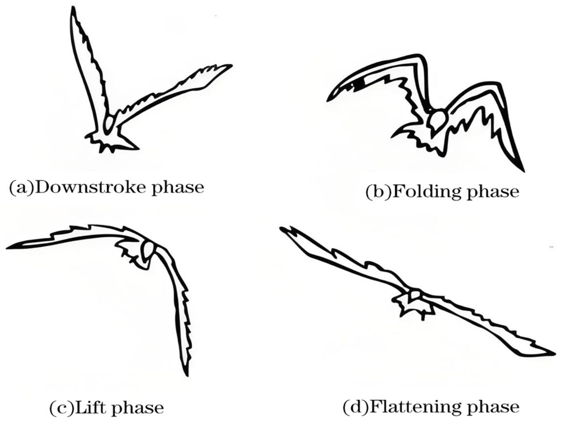 Design and Aerodynamic Analysis of a Flapping Mechanism for Foldable Biomimetic Aircraft