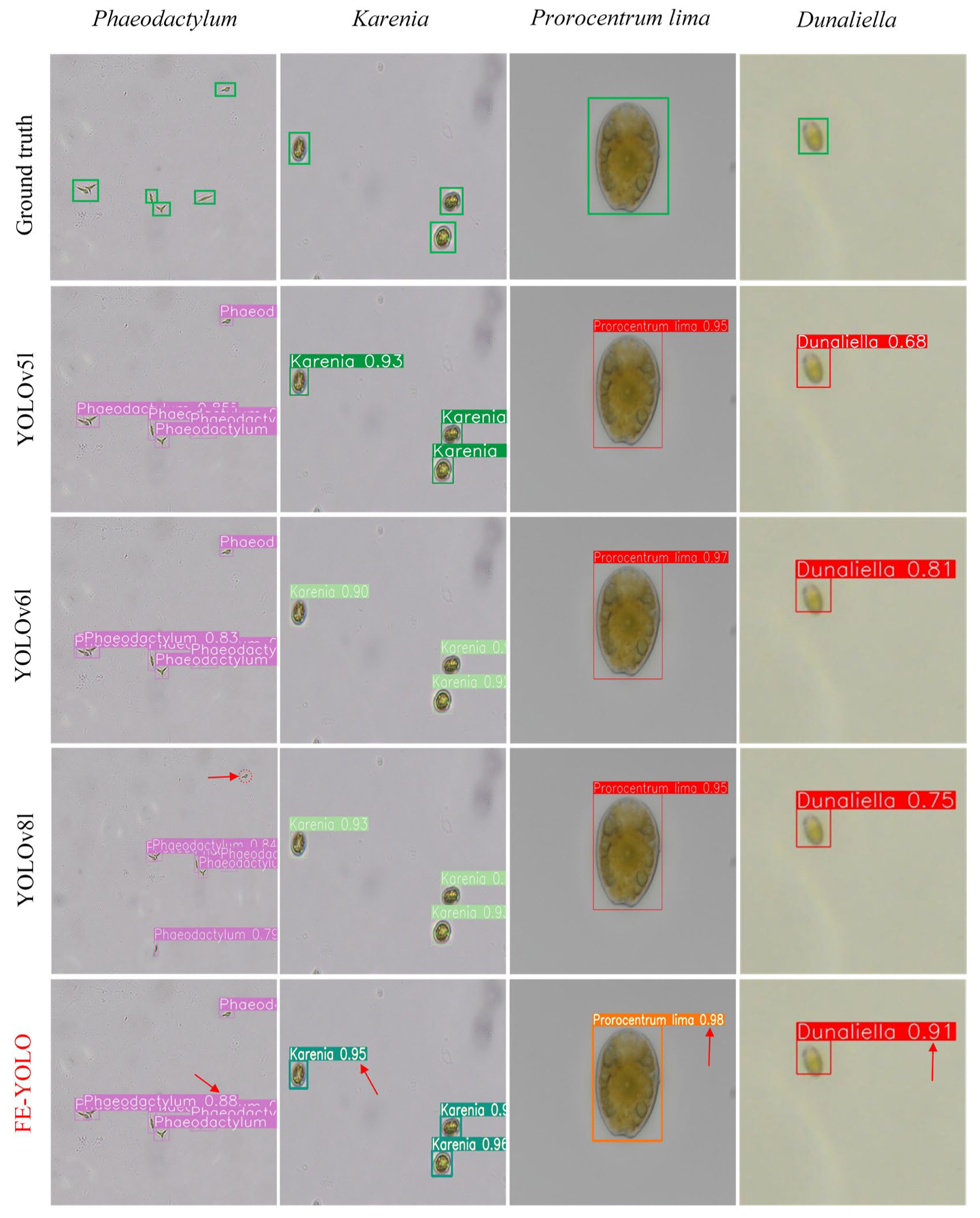 FE-YOLO: An Efficient Deep Learning Model Based on Feature-Enhanced ...