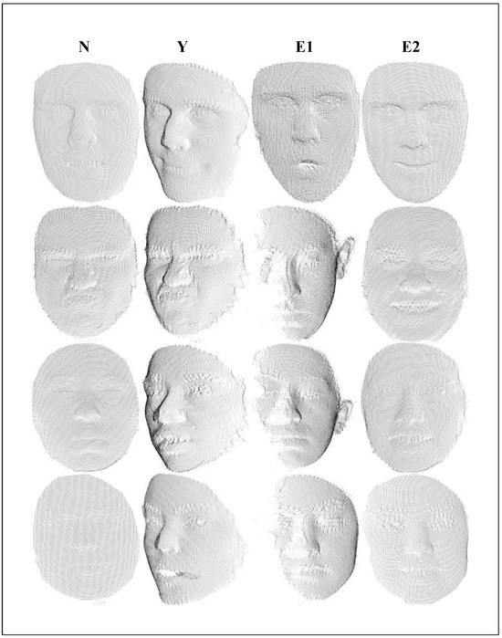 A 3D Face Recognition Algorithm Directly Applied to Point Clouds