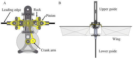 Prediction and Measurement of Hovering Flapping Frequency Under ...