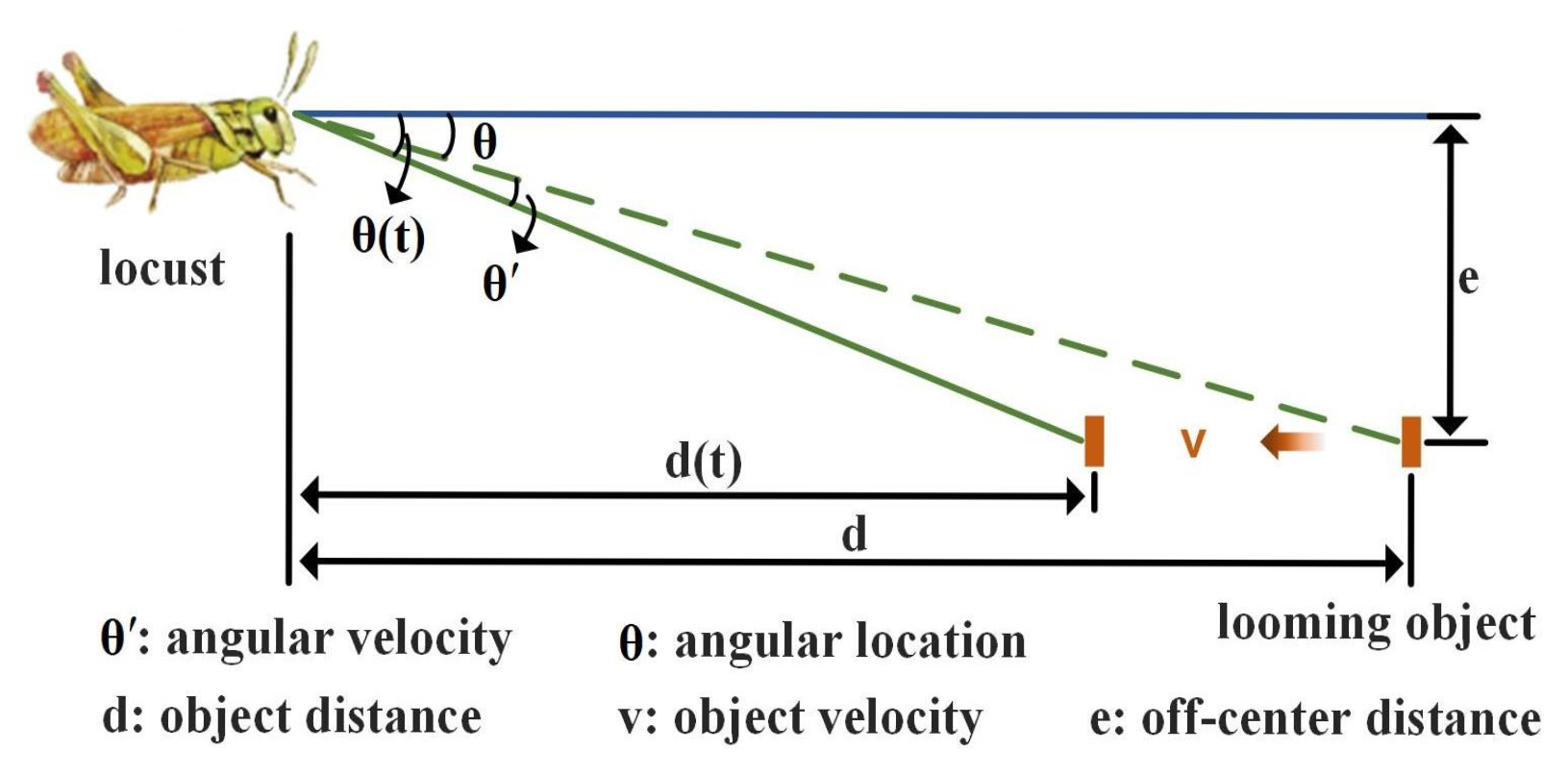 A Scale-Invariant Looming Detector for UAV Return Missions in Power ...