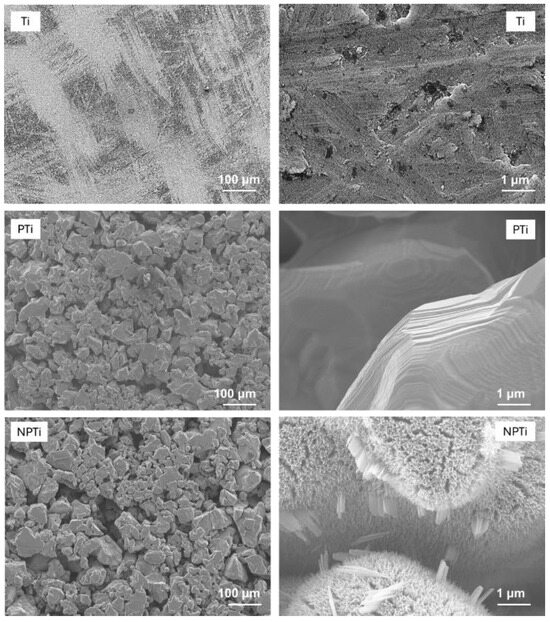 Anti-Bacterial Properties and Hemocompatibility of Alkali Treated Nano ...