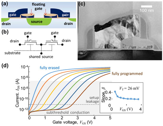 Flash Memory for Synaptic Plasticity in Neuromorphic Computing: A Review
