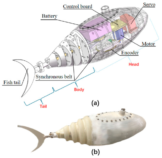Development of a Wire-Driven Robotic Fish Based on Double Sine Mechanism