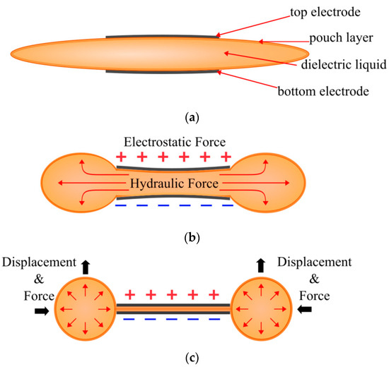 Review of Electrohydraulic Actuators Inspired by the HASEL Actuator