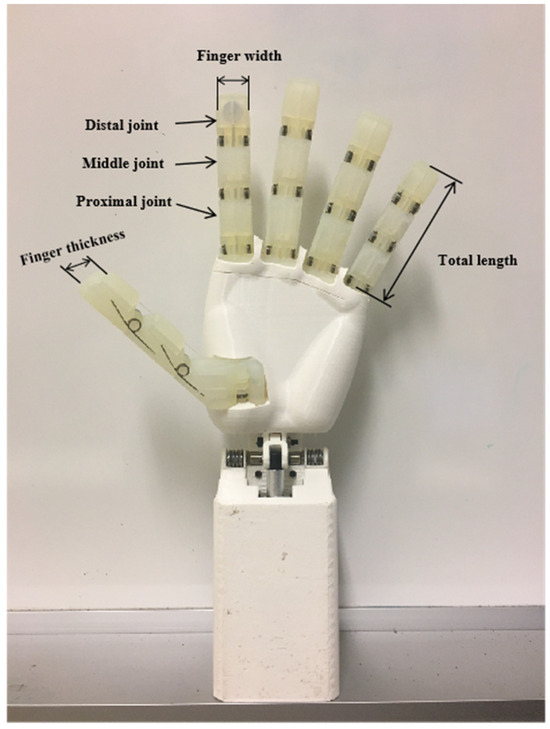 Structural and Experimental Study of a Multi-Finger Synergistic ...