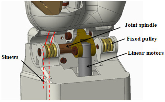 Structural and Experimental Study of a Multi-Finger Synergistic ...