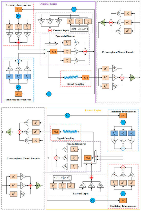 A Novel Multi-Dynamic Coupled Neural Mass Model of SSVEP