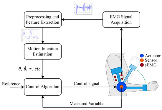 Myoelectric Control in Rehabilitative and Assistive Soft Exoskeletons ...