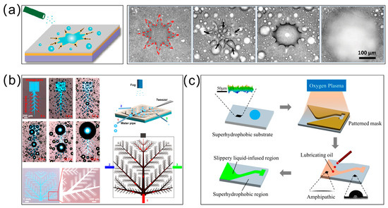 Biomimetic Directional Liquid Transport on a Planar Surface in a ...